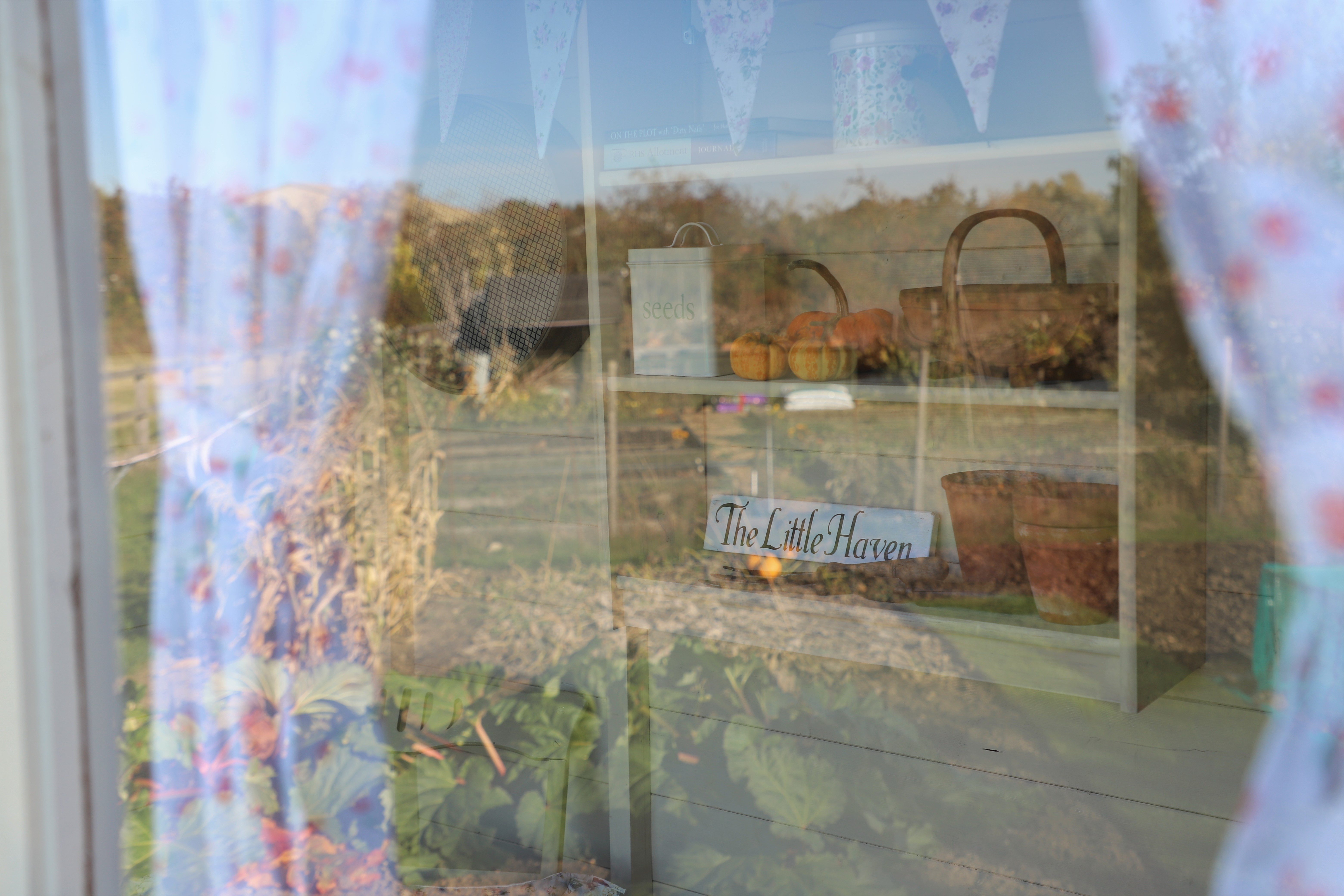 Inside My Allotment Shed – Allotment Haven