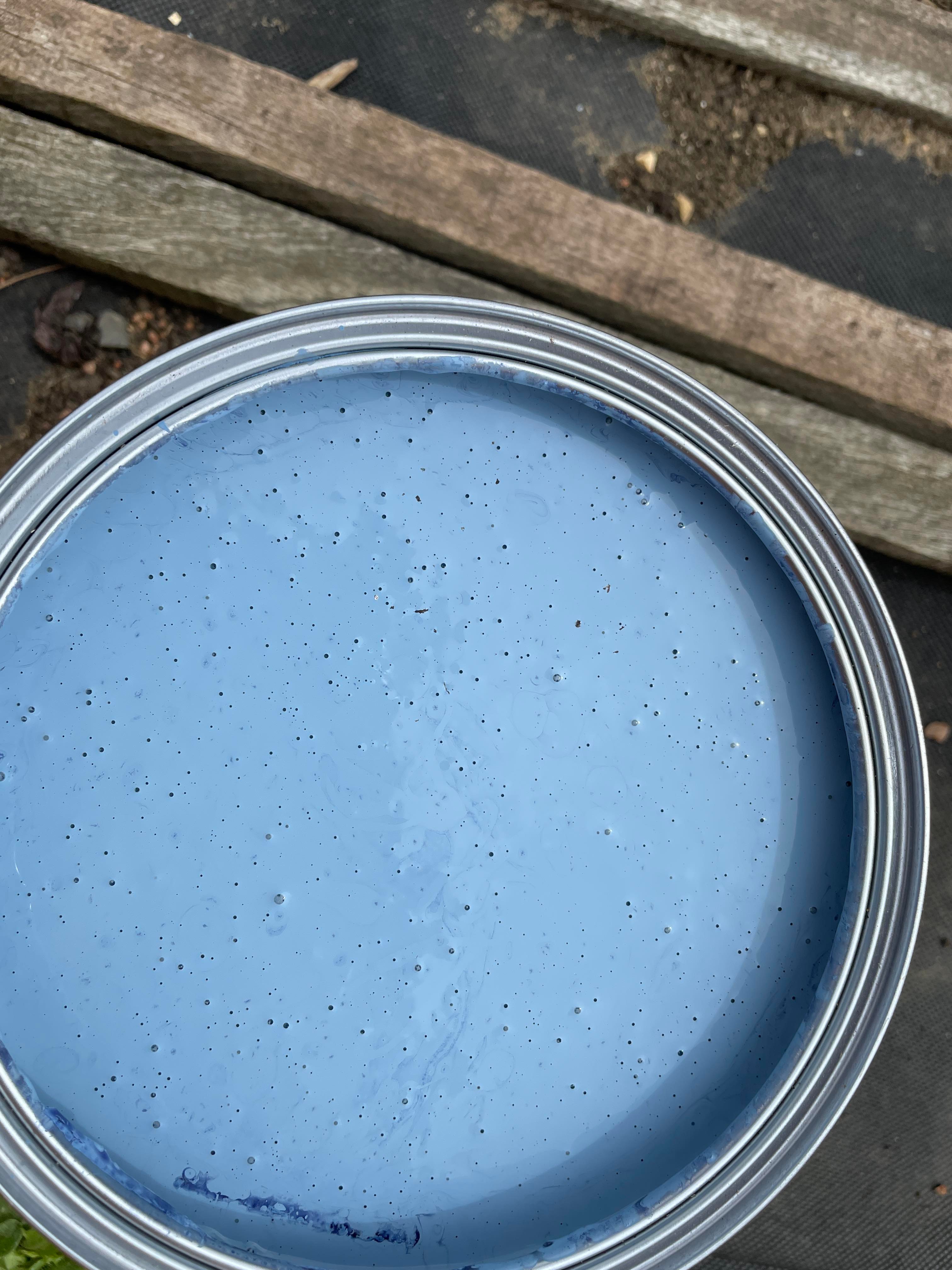 Little Blue Shed – Allotment Haven